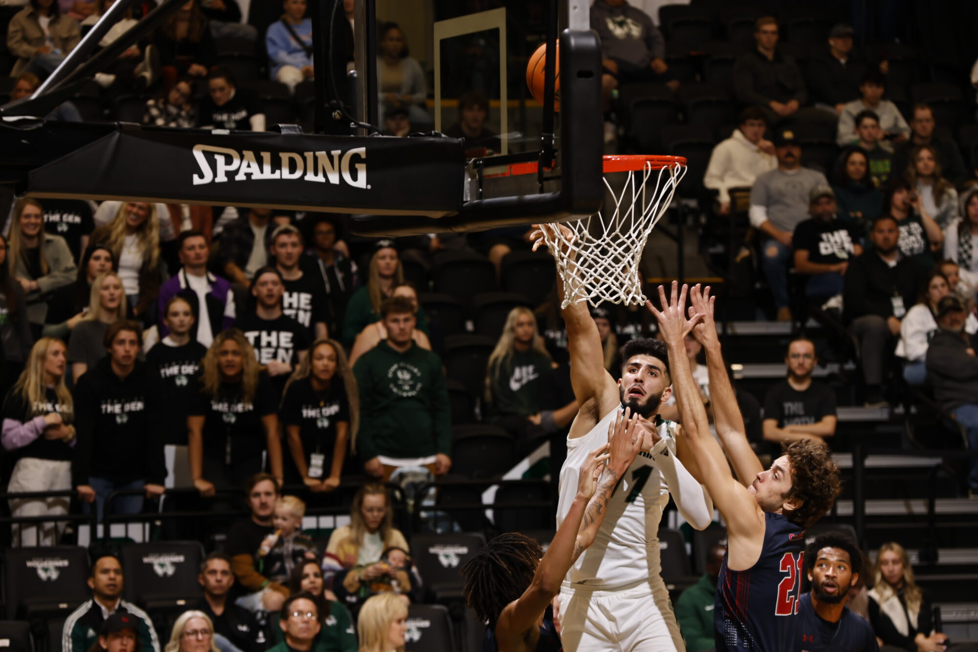 Former Utah Valley and Texas Tech big man Fardaws Aimaq enters the ...